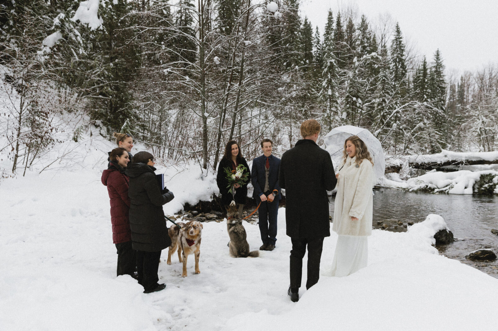 The Ultimate Guide to Eloping in Fernie, BC