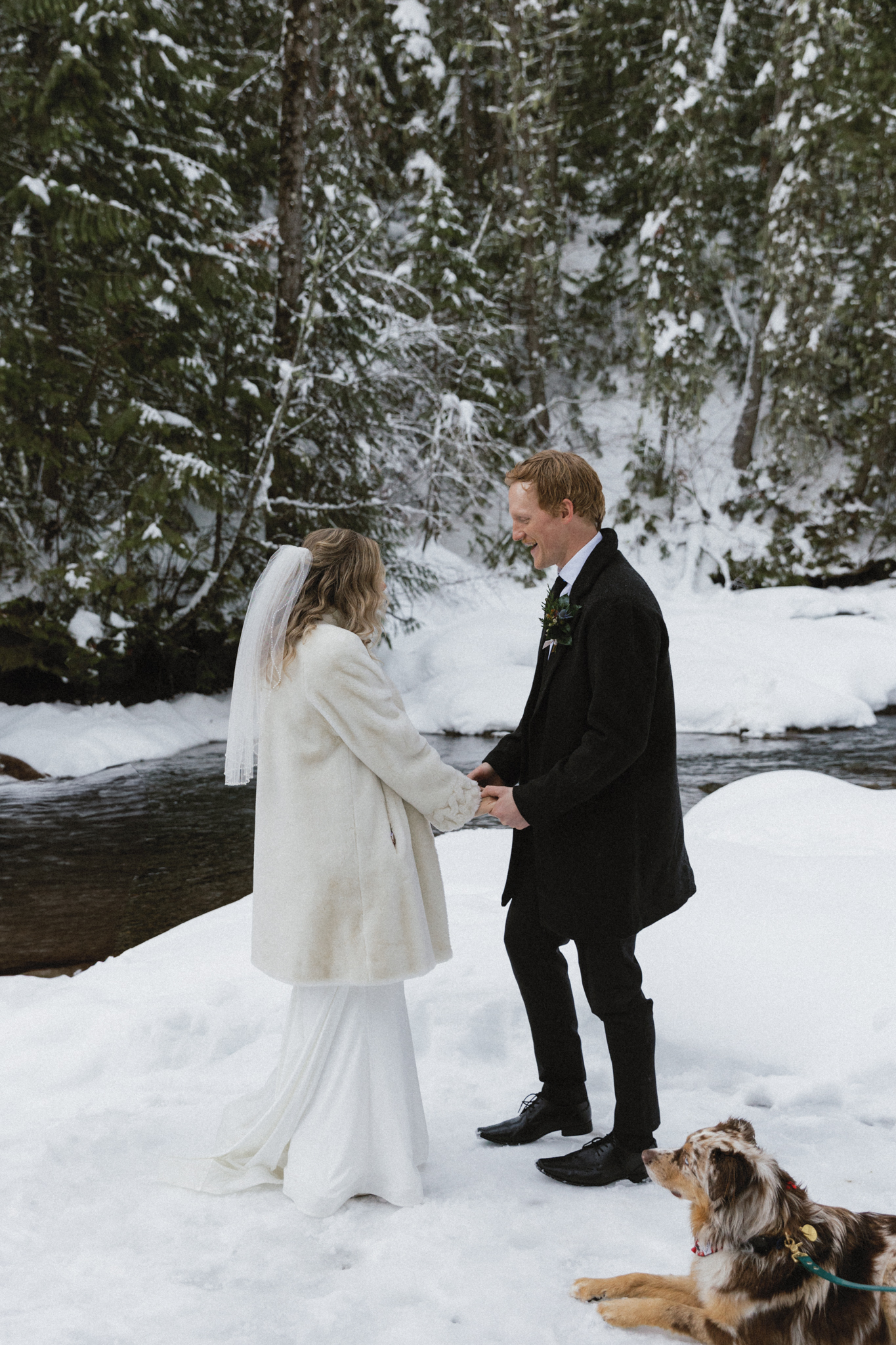 The Ultimate Guide to Eloping in Fernie, BC